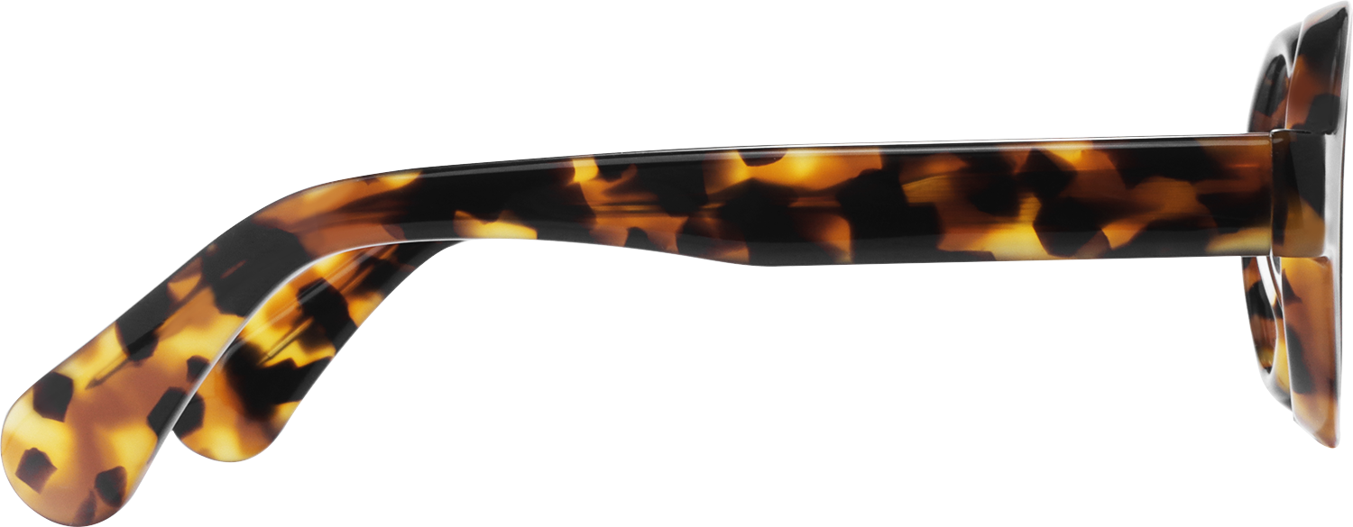 Milo Round Tortoiseshell Eyeglasses | Fytoo Optical
