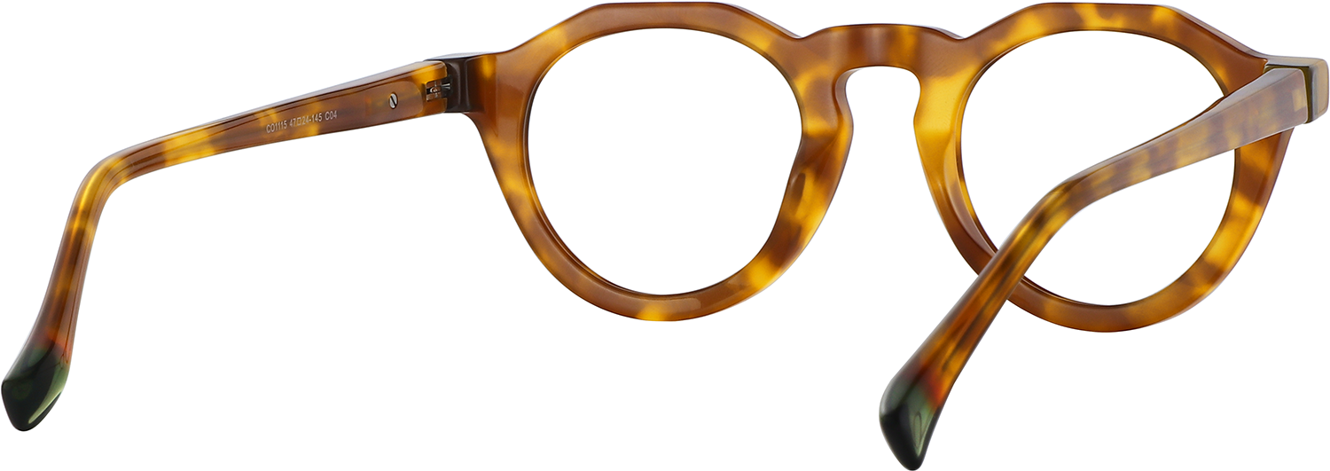 Warner Geometric Tortoiseshell Eyeglasses | Fytoo Optical