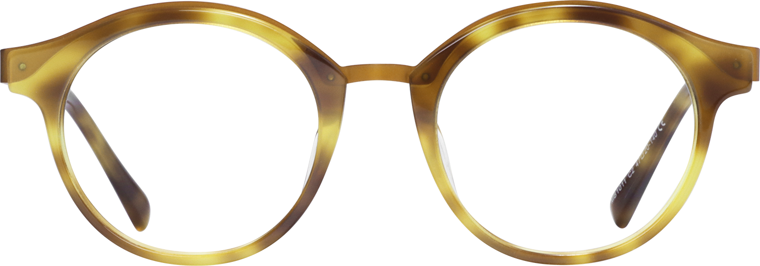 Larkin Round Tortoiseshell Eyeglasses | Fytoo Optical