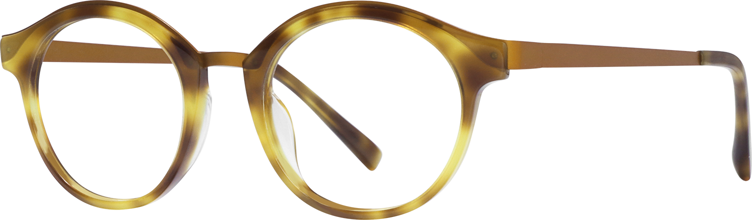 Larkin Round Blue Leopard Print Eyeglasses | Fytoo Optical