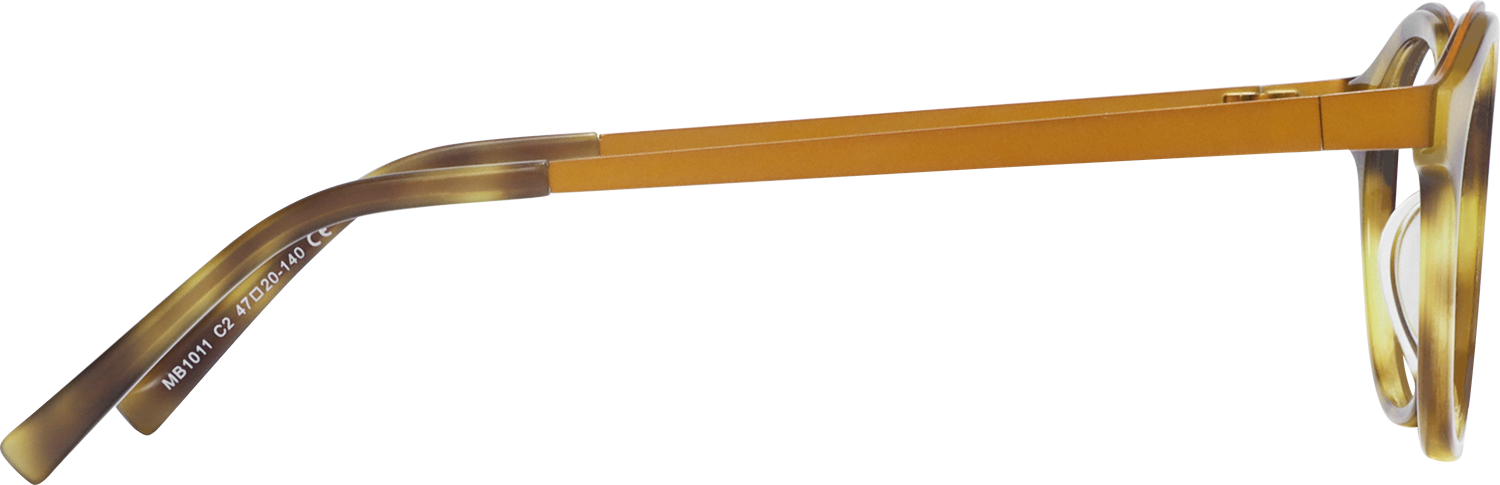 Larkin Round Tortoiseshell Eyeglasses | Fytoo Optical