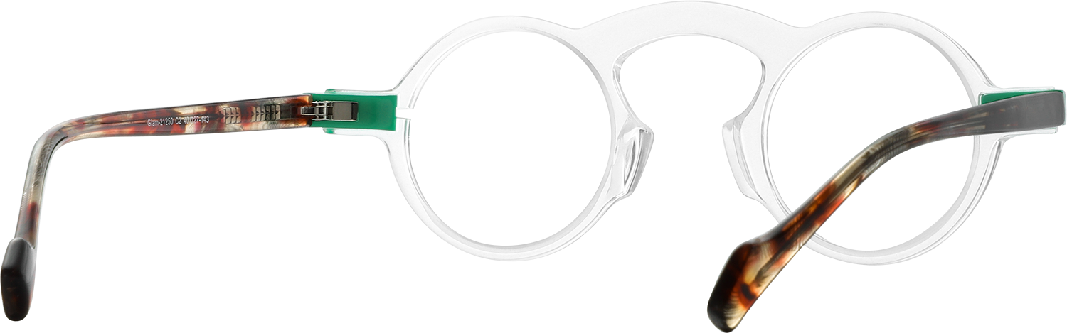 Grgur Round Transparent Eyeglasses | Fytoo Optical