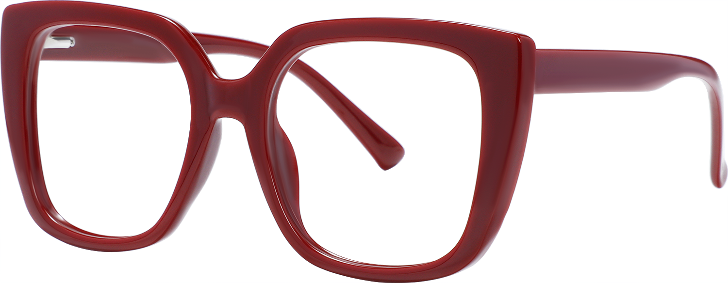 Plastic Frame Eyeglasses | Men's glasses | Fytoo Optical