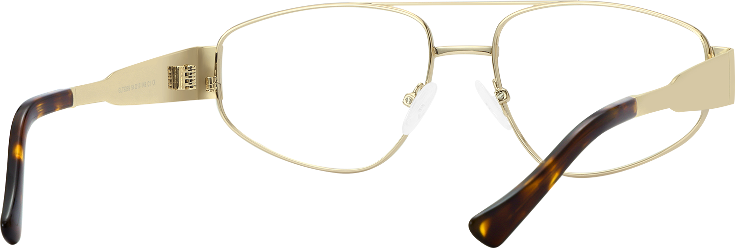 Avenn Aviator Golden Eyeglasses | Fytoo Optical