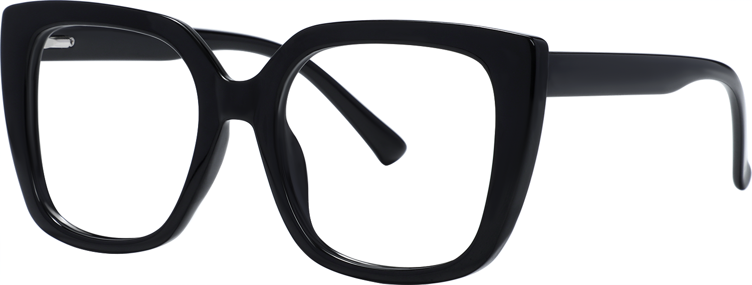 Plastic Frame Eyeglasses | Men's glasses | Fytoo Optical