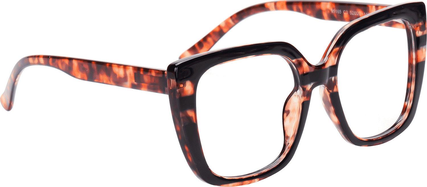 Plastic Frame Eyeglasses | Men's glasses | Fytoo Optical