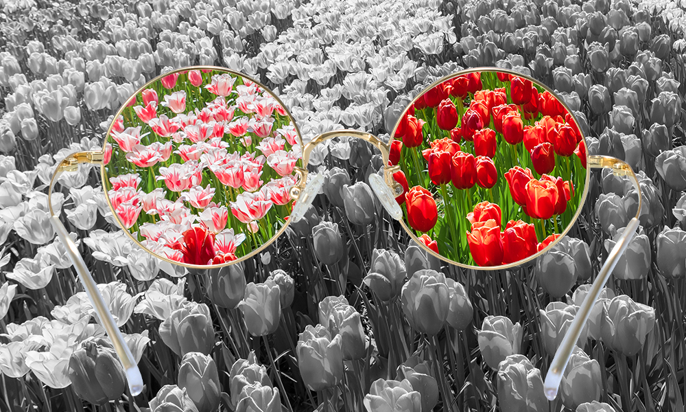 Causes, diagnosis, and life-impacting effects of color blindness